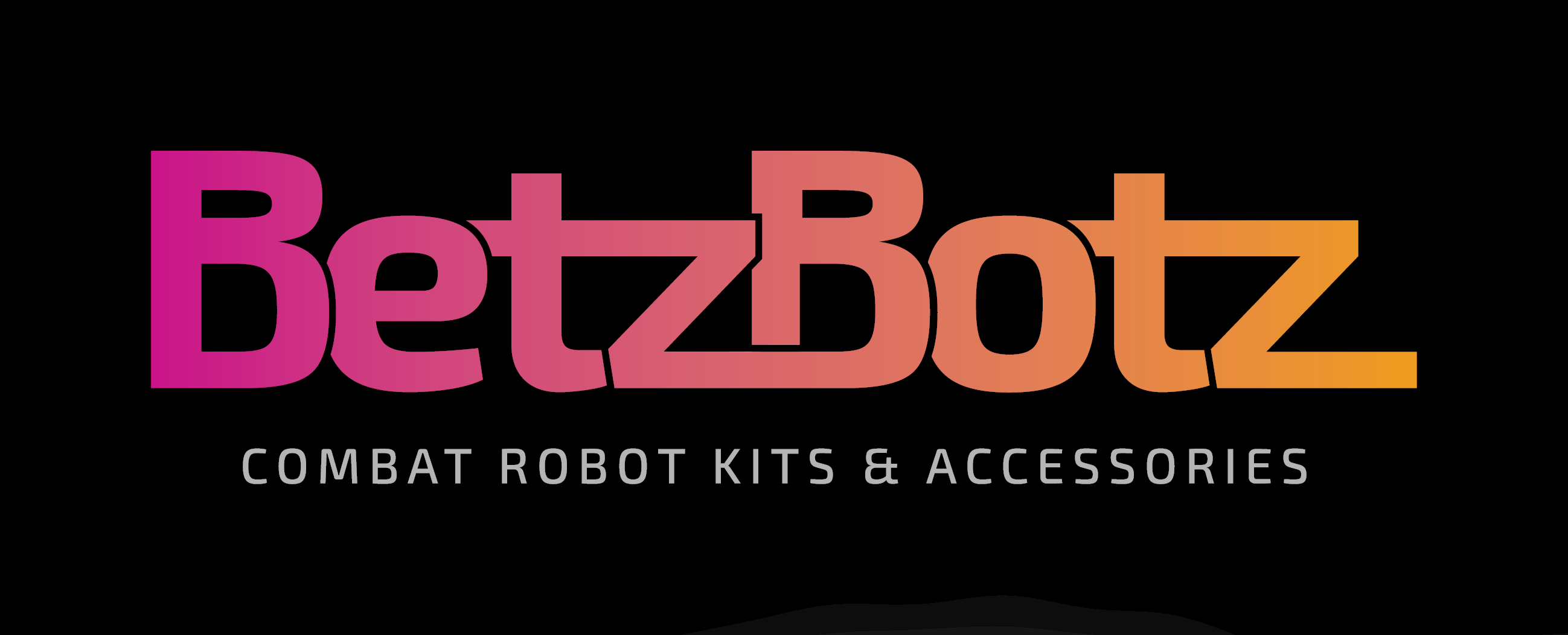 Maker Faire | Betz Botz - Maker Faire