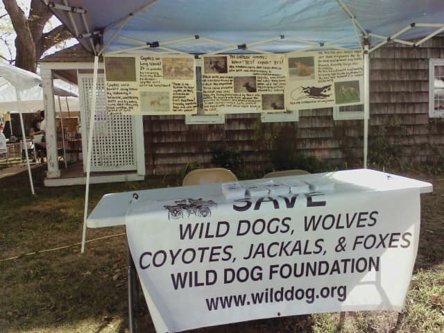 Maker Faire | Wild Dog Foundation - Maker Faire