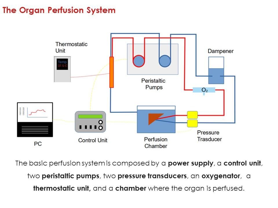 Maker Faire | Arduino-based organ perfusion system. - Maker Faire