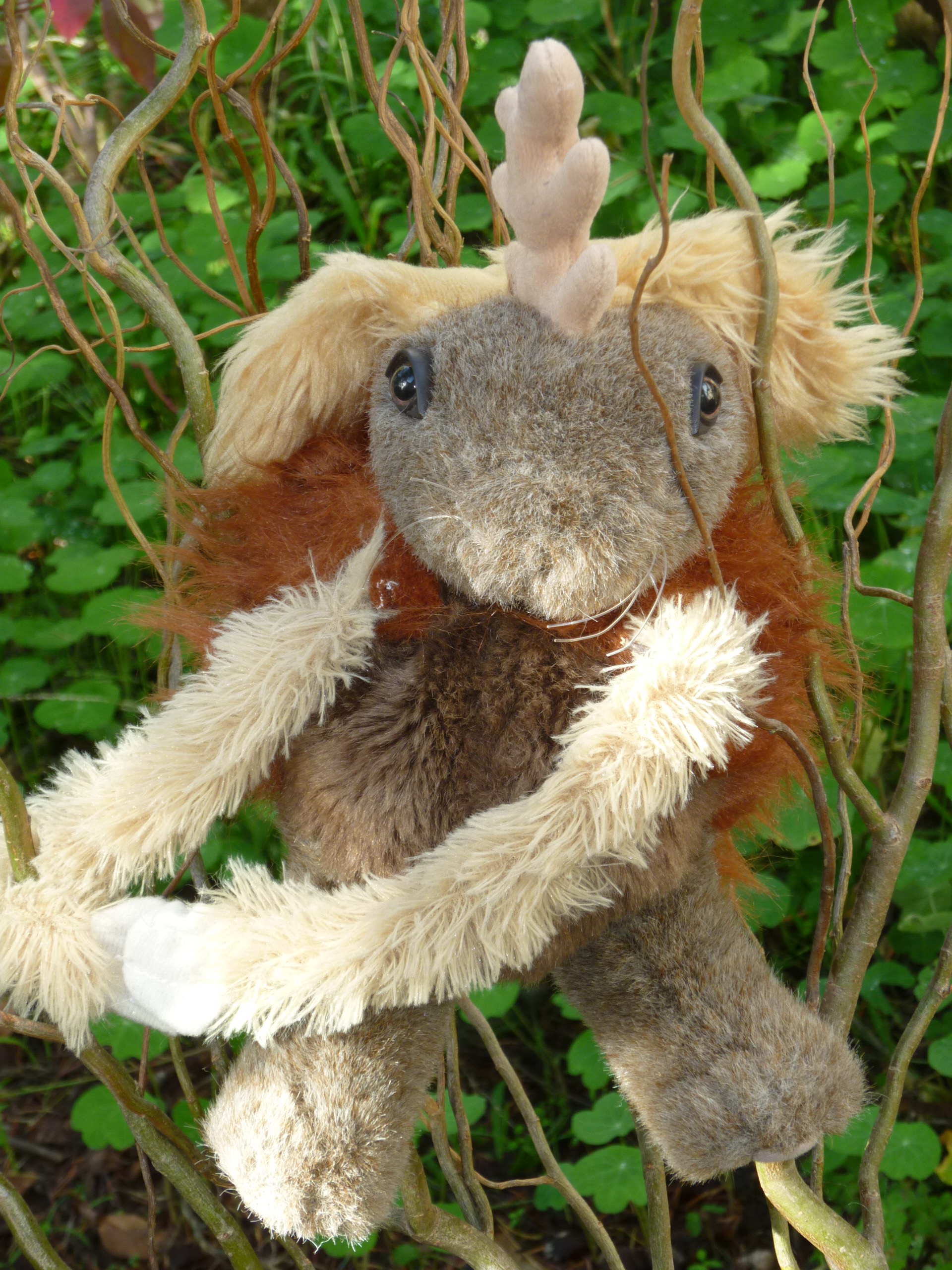 Maker Faire | Frankenstuffies