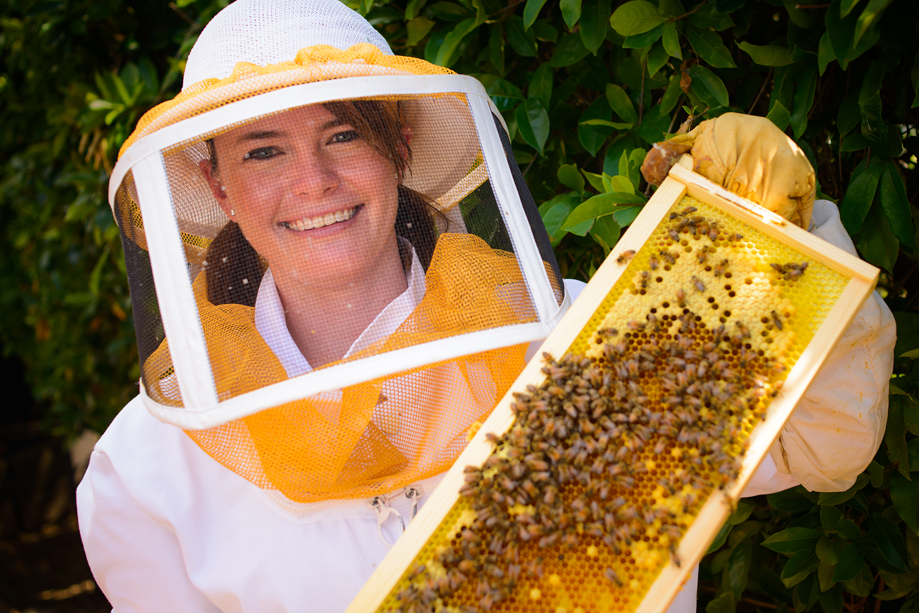 Maker Faire | Backyard Beekeeping