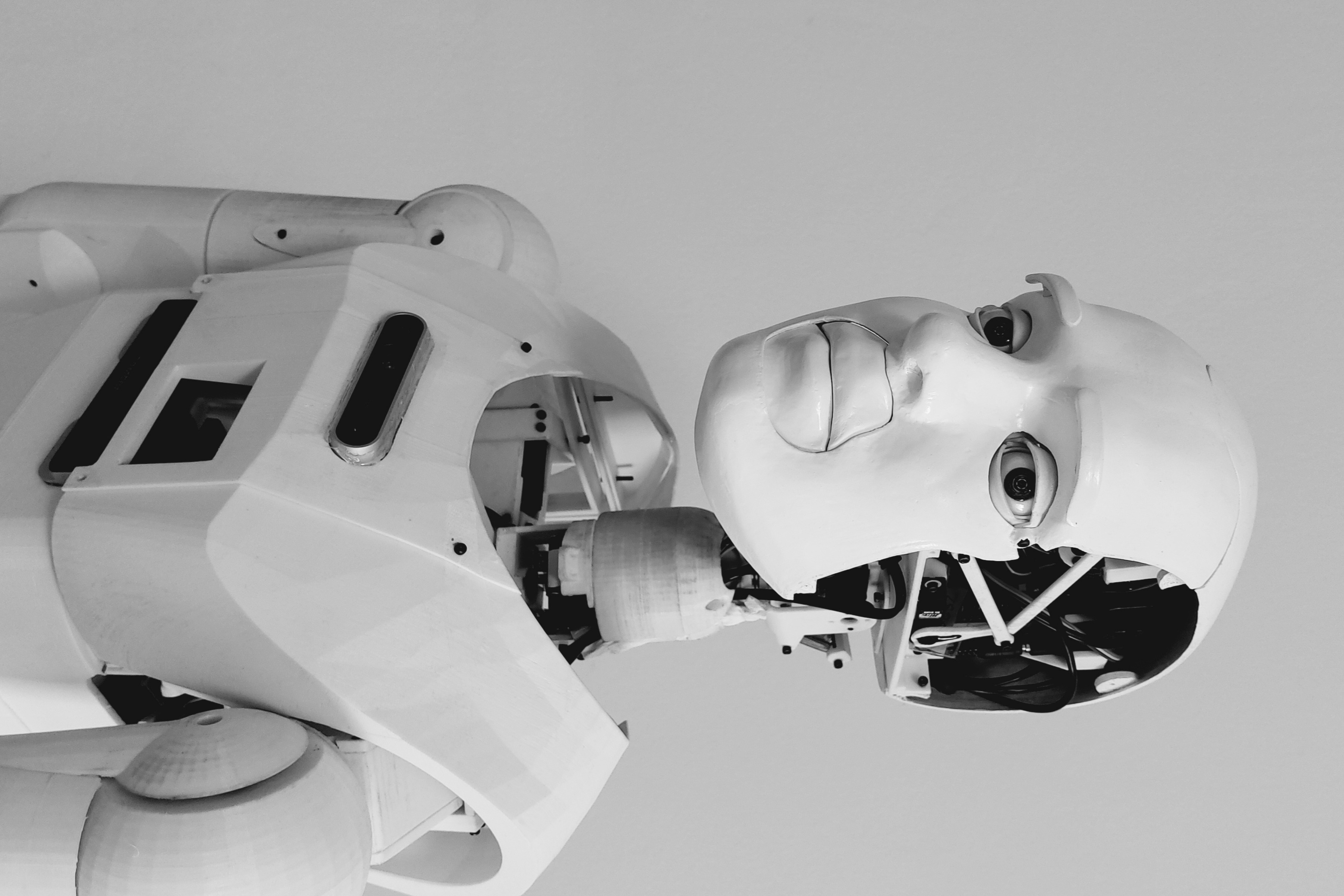 Maker Faire | VoxHead, a creative commons 3D printed life-sized ...