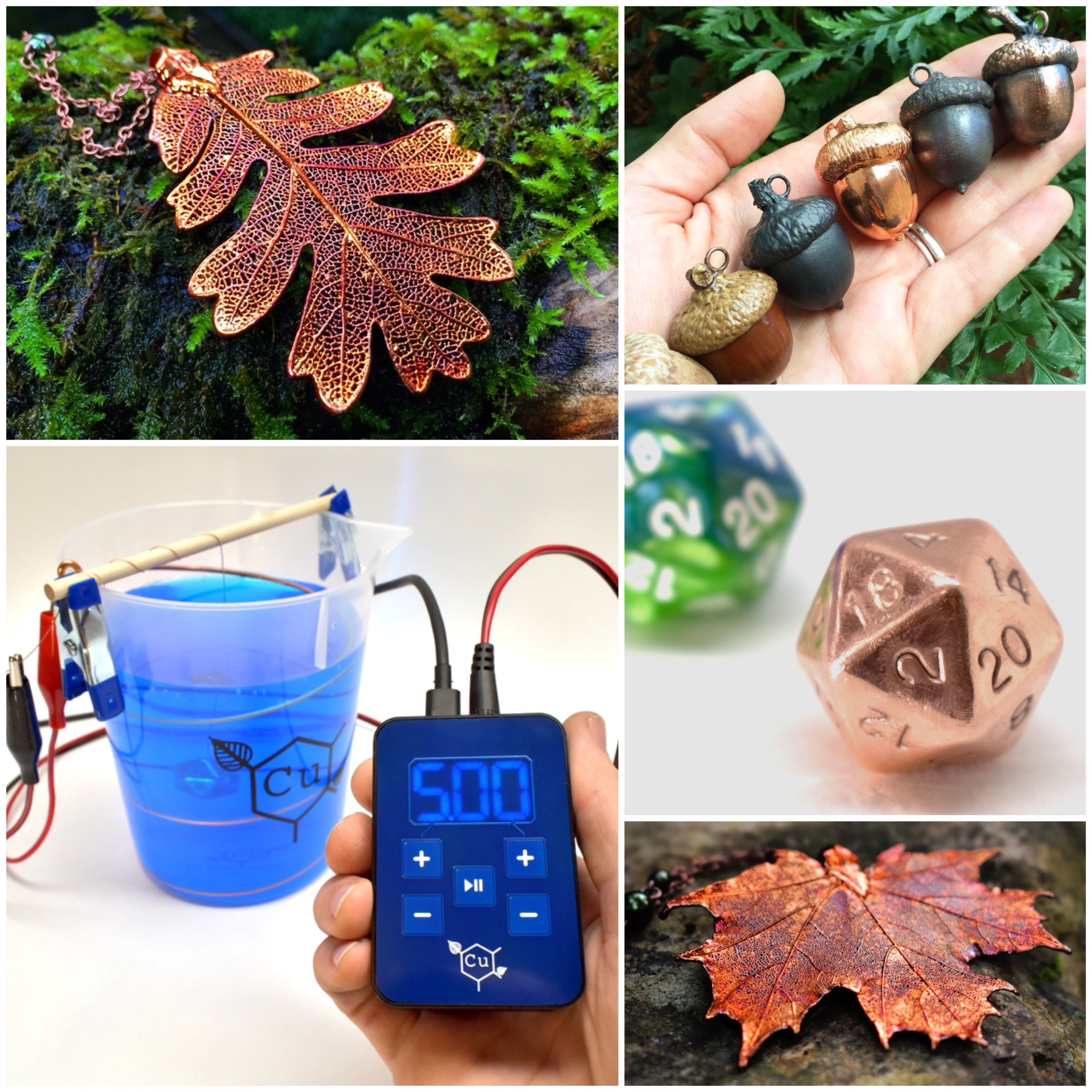 Maker Faire | Enchanted Leaves | MicroDean Systems - Cu Electroforming ...